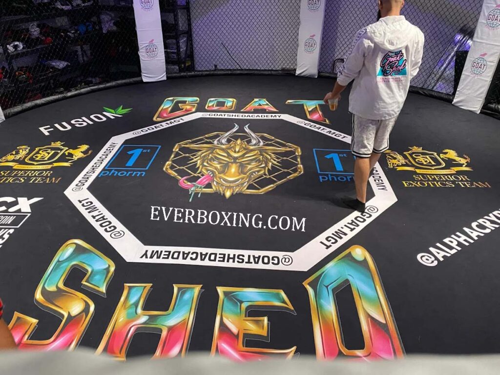 Boxing ring canvas - Custom boxing ring canvas